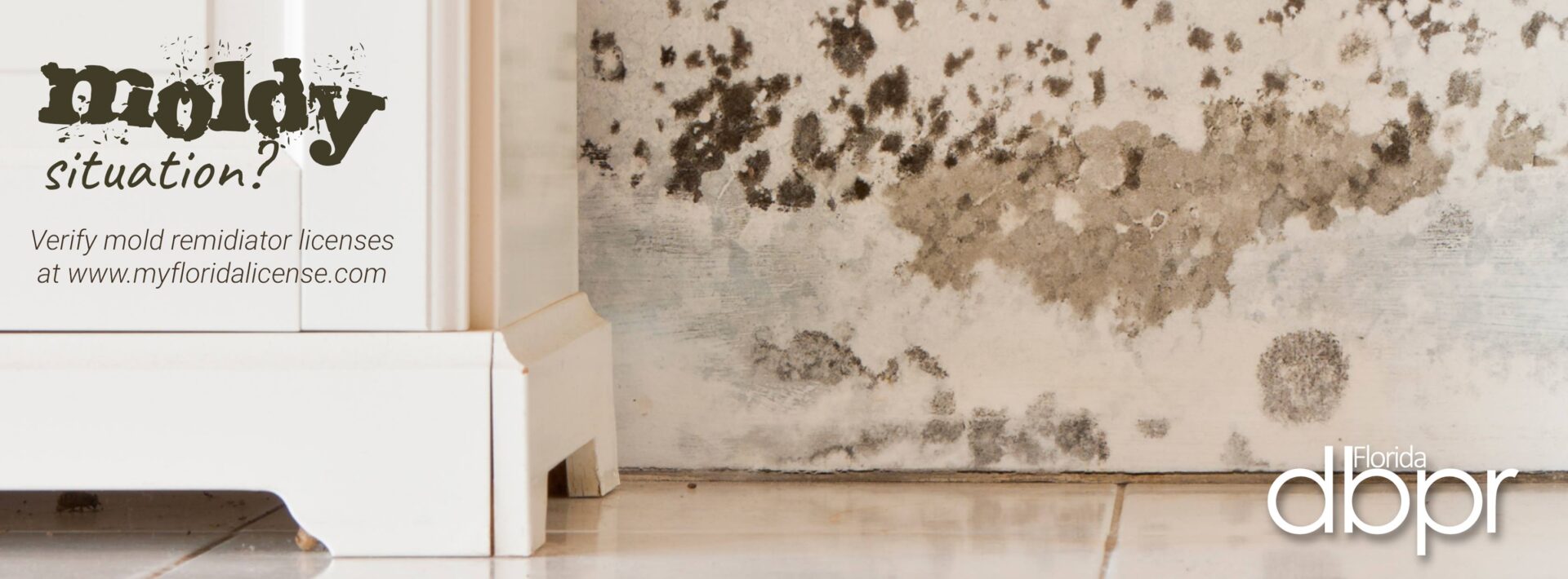 DBPR Facebook Cover Photos – Maegen Wynn